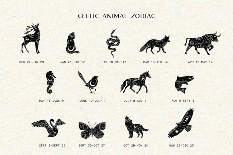 What Are Celtic Zodiac Signs and What Do They Mean? | KamCord